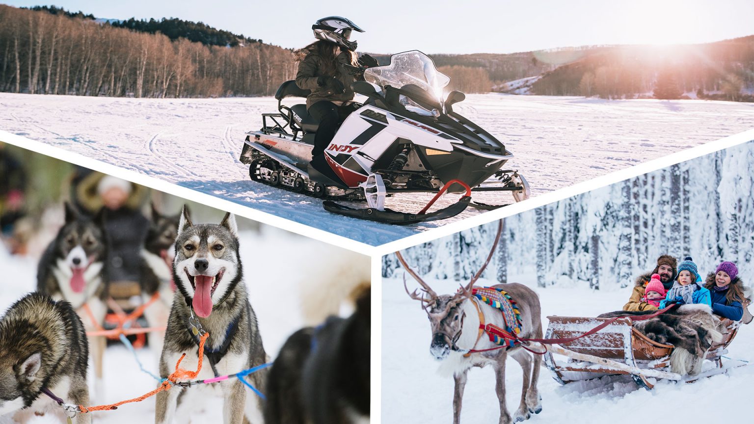 Husky and Reindeer Safaris – Sunny Safari - Experience Lapland nature